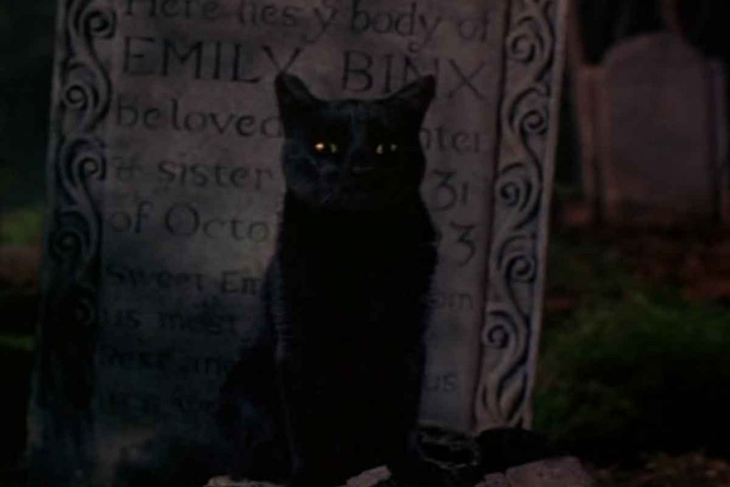 A Hocus Pocus Quiz Meant To Stump The Skeptics - Movie Time Dad